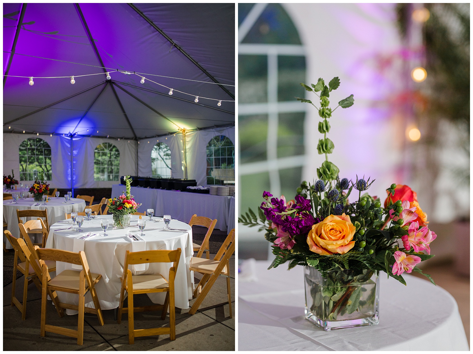National Aviary Wedding - Pittsburgh Wedding Photographer